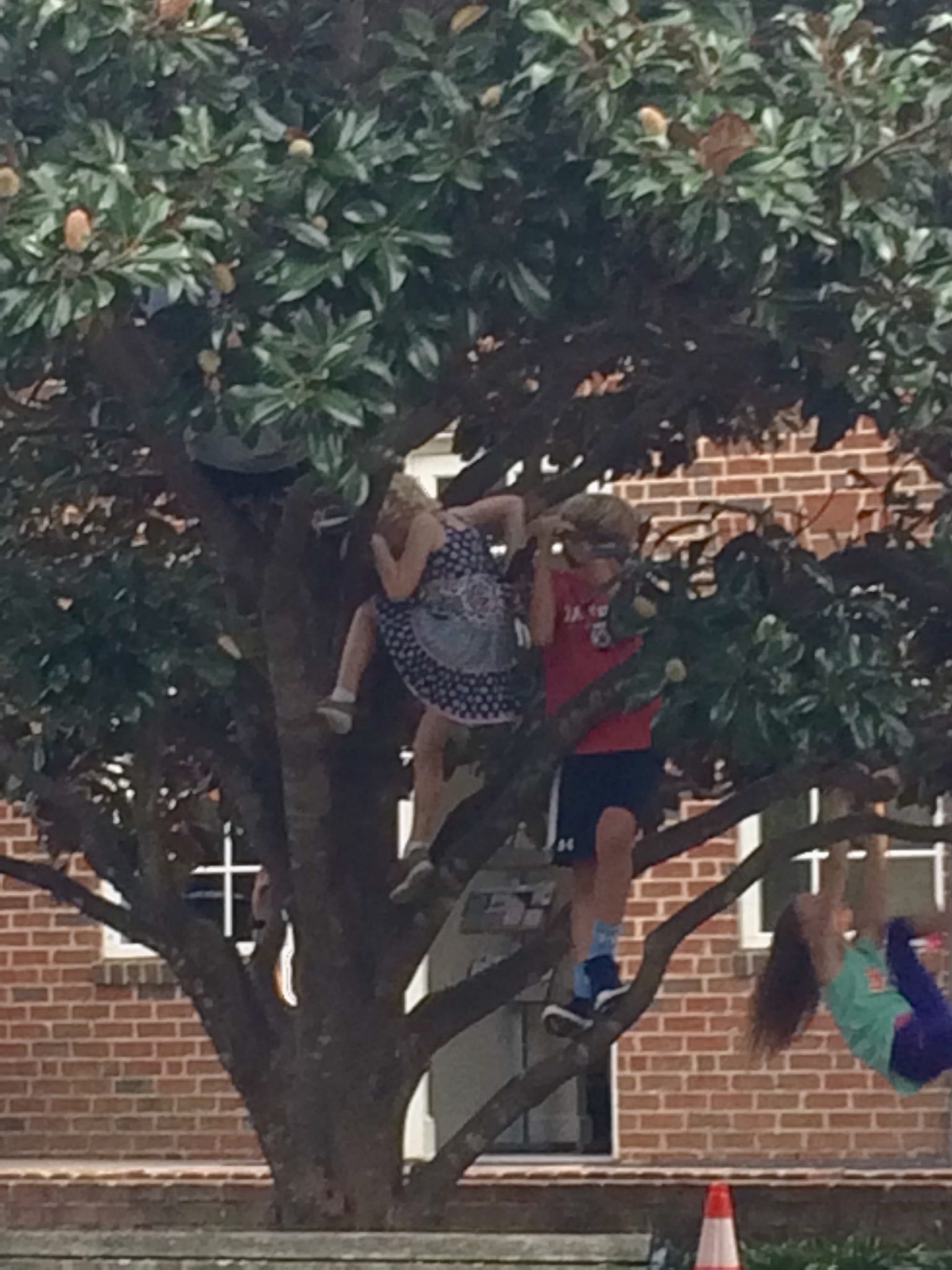 Free Spirited Children - Adams Educate